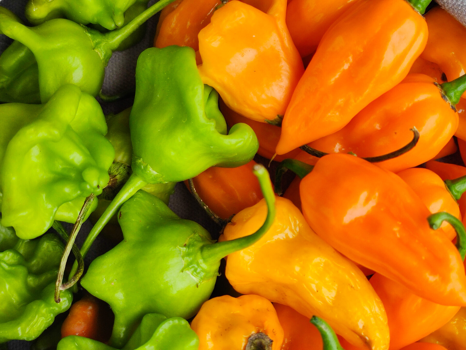 Selbstgemachte Chilisauce | Main Ingredients