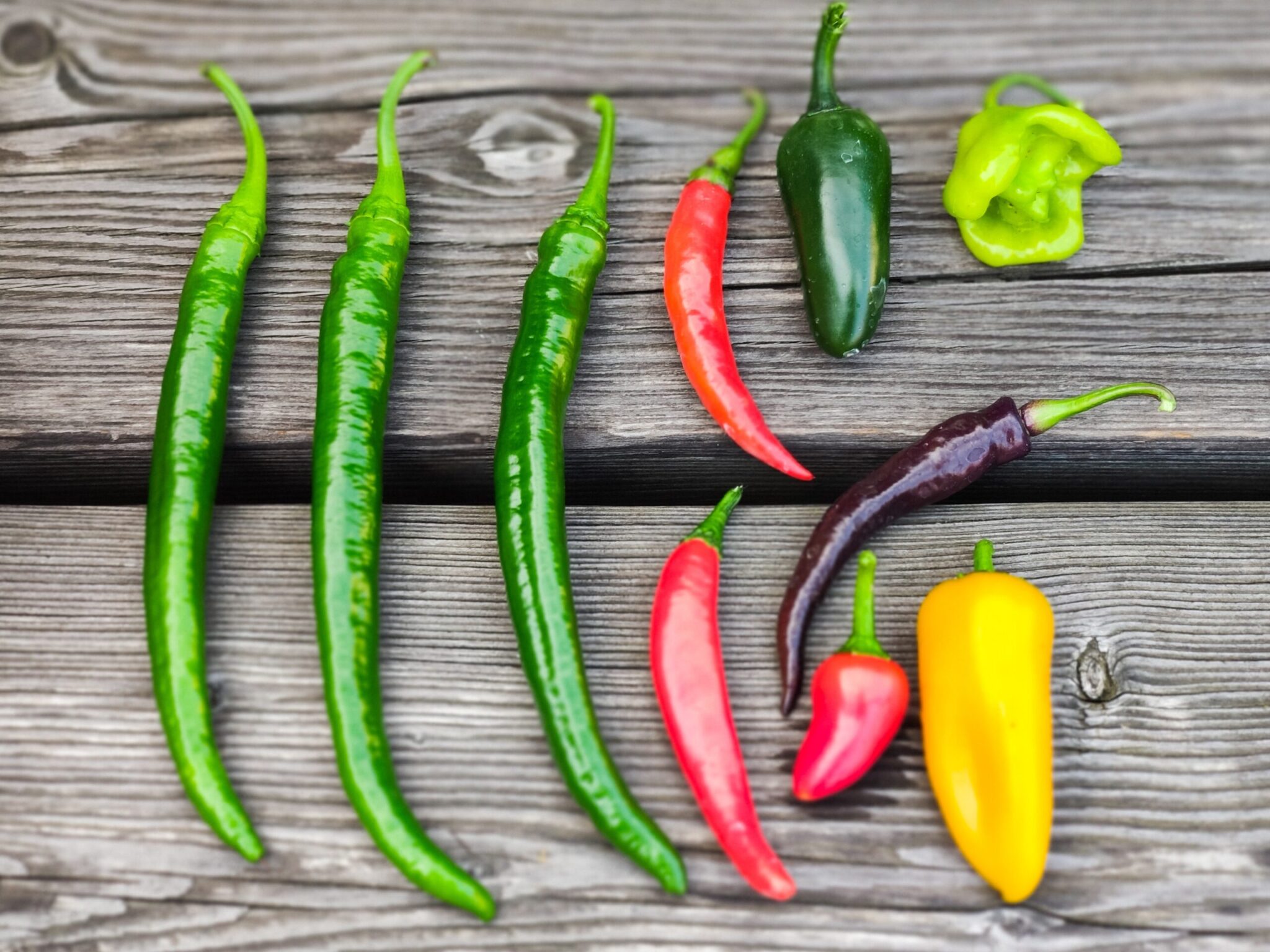 Selbstgemachte Chilisauce | Main Ingredients